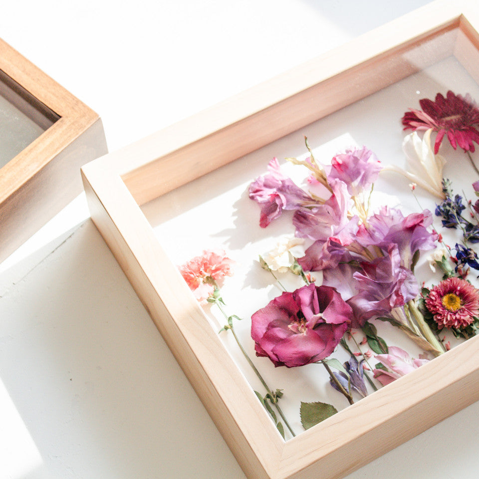 Meadow Style Shadow Box – White Poppy Preservation